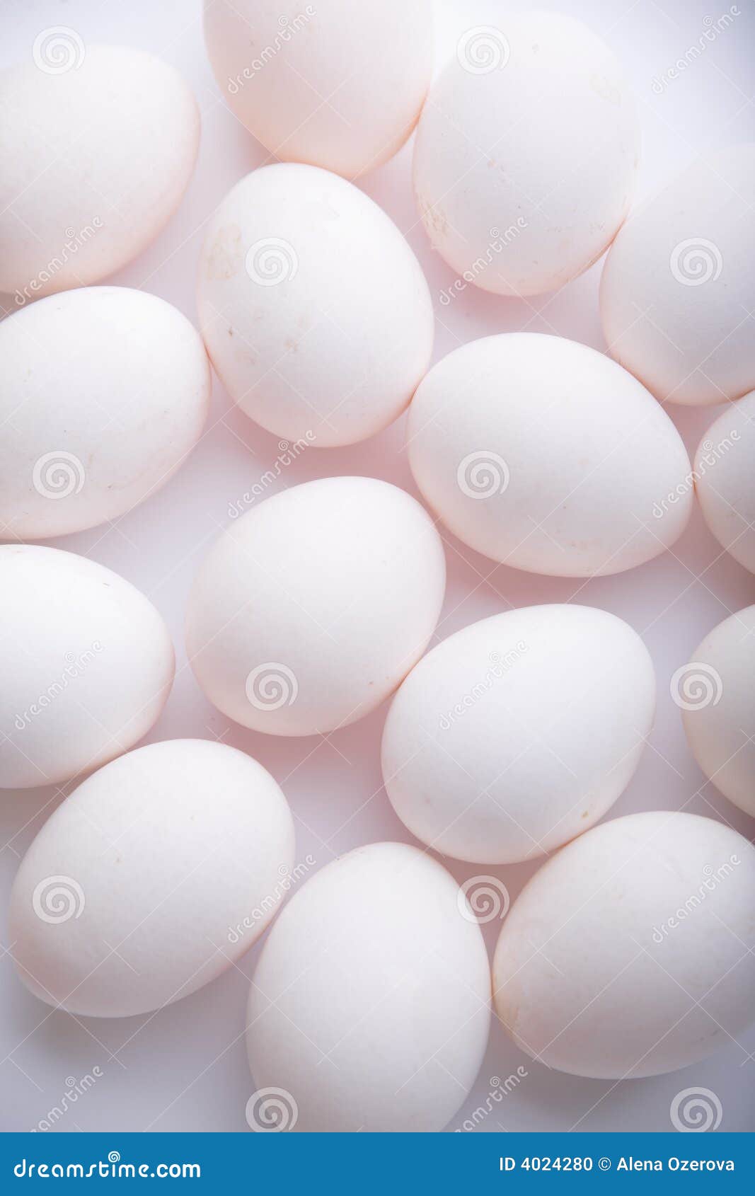 White eggs stock photo. Image of eggs, texture, poultry - 4024280