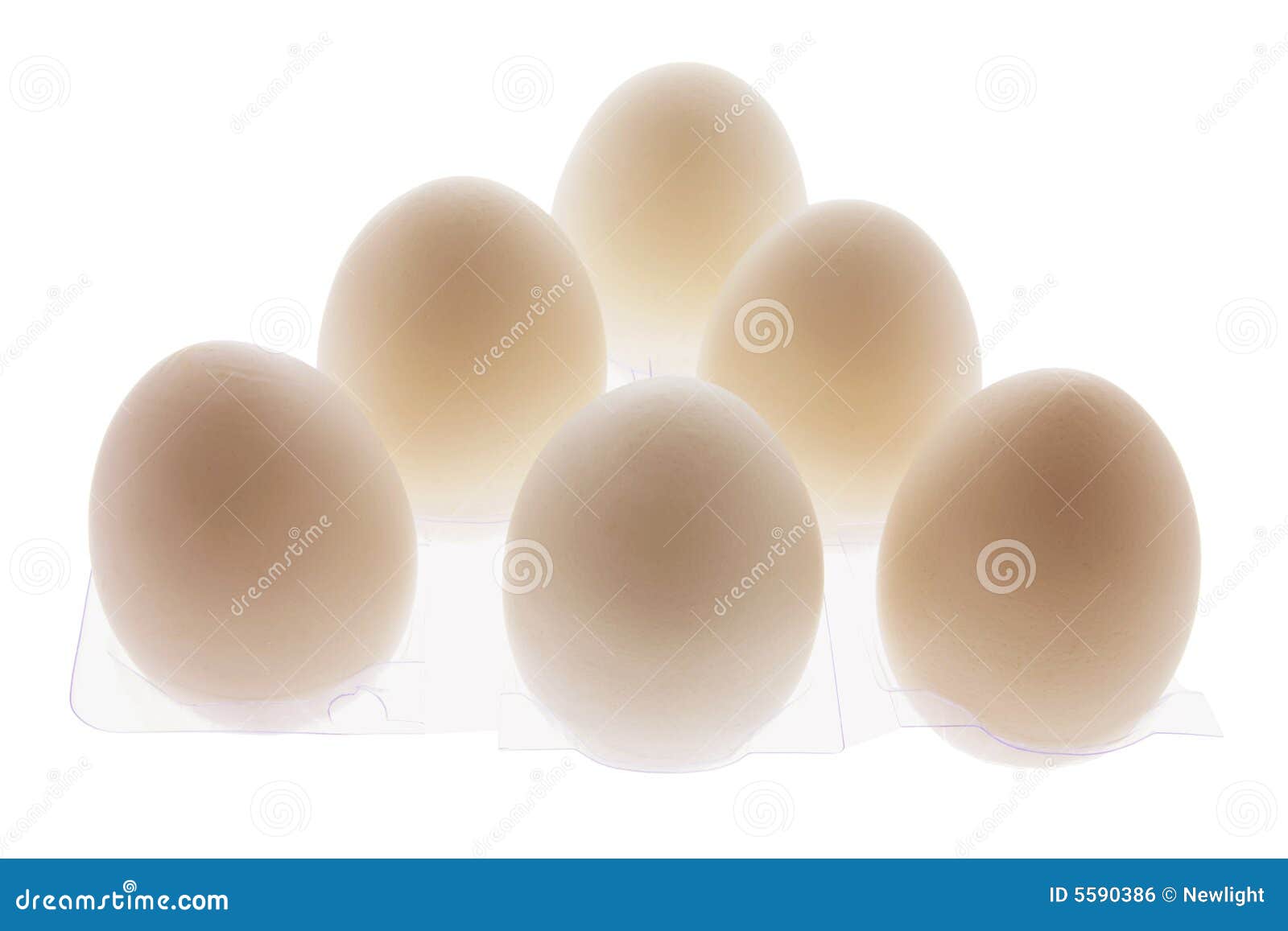 White Eggs stock photo. Image of fragile, agriculture - 5590386