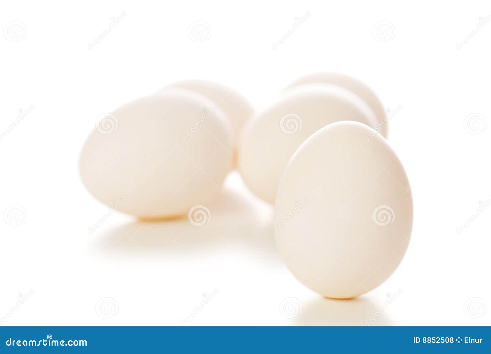 White eggs isolated stock photo. Image of small, close - 8852508