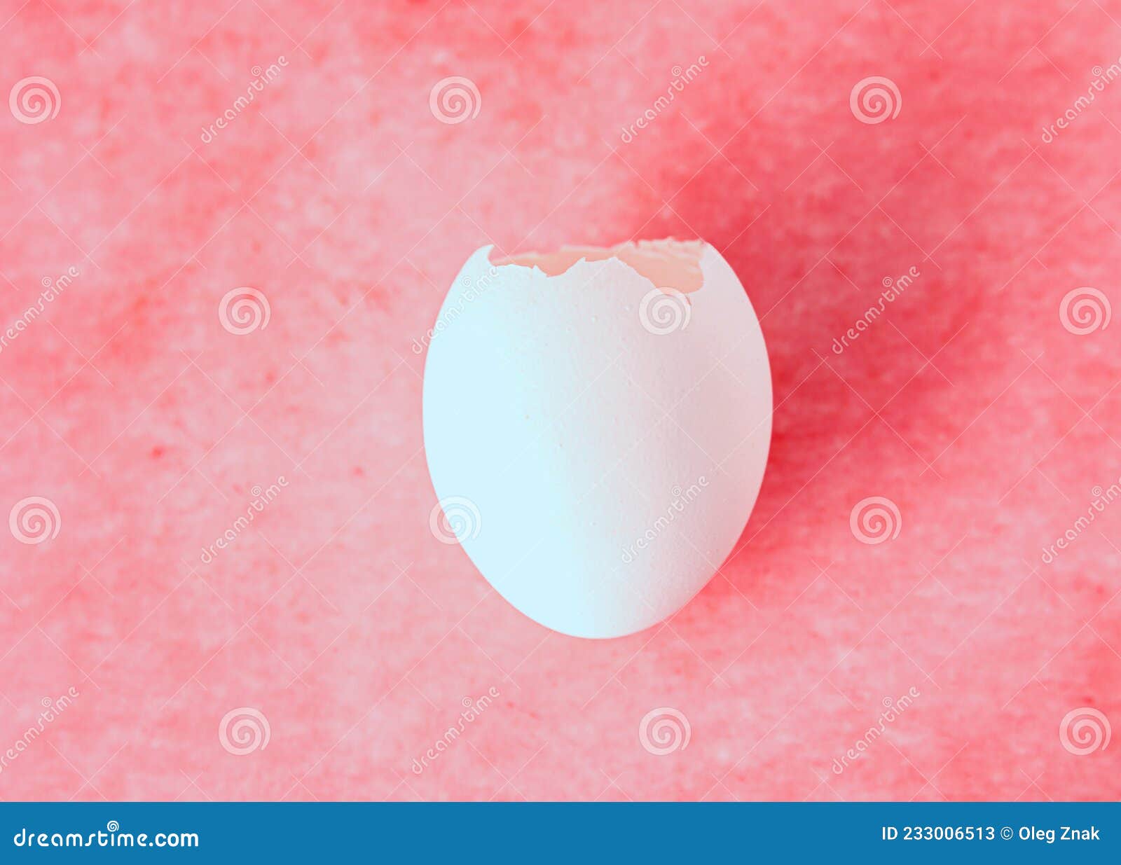 Empty Chicken Egg on White Background Stock Image - Image of broken ...