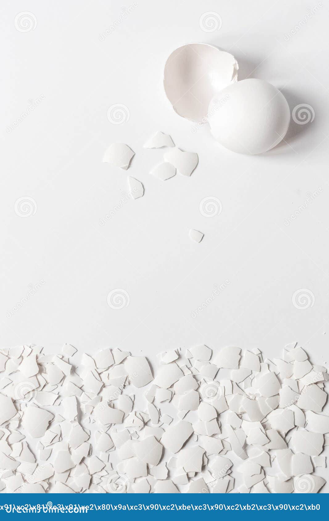 White Eggshell of a Broken Chicken Egg with Shards Isolated on a White ...