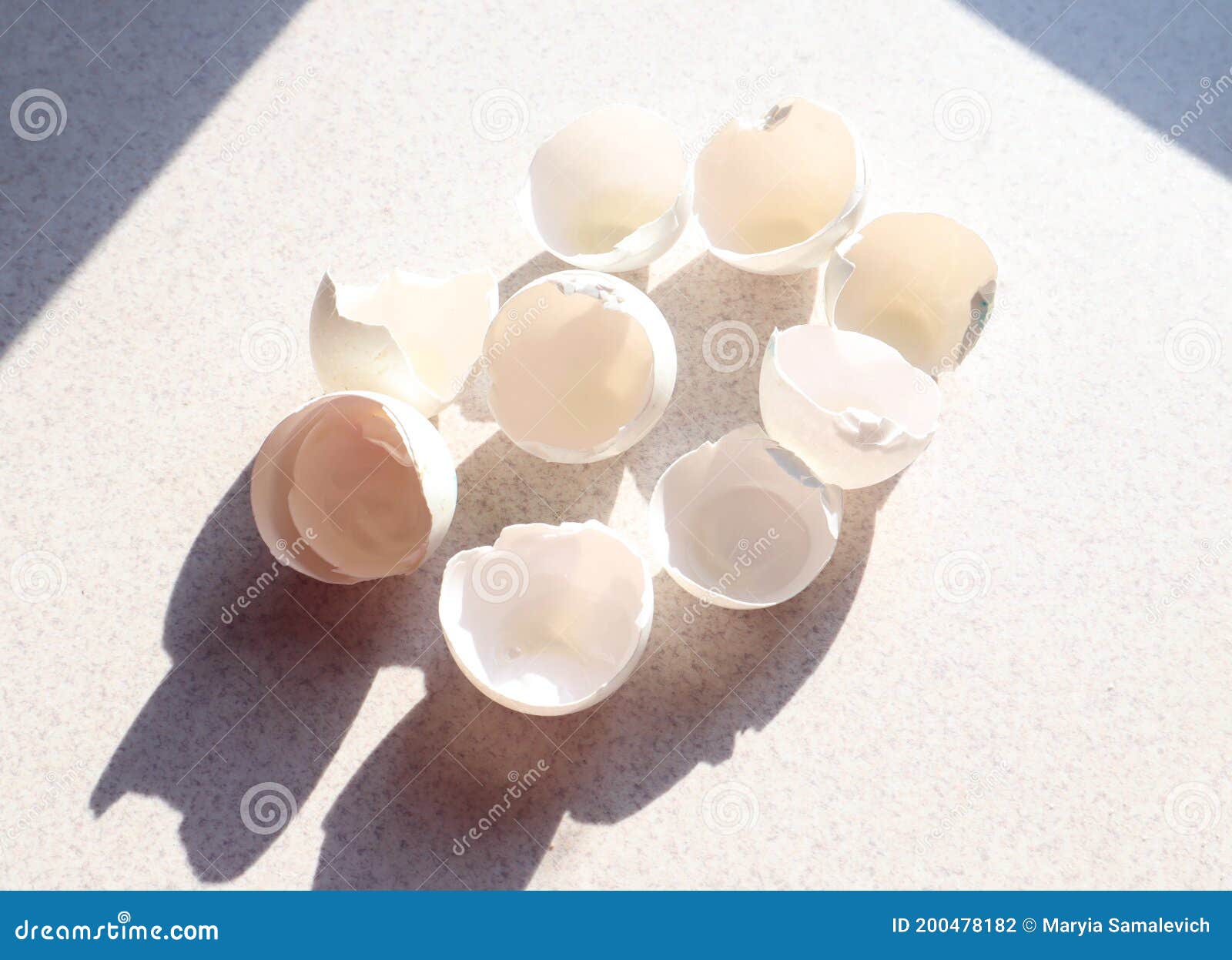 White Eggshell on a Gray Background in the Sun with Shadows from ...