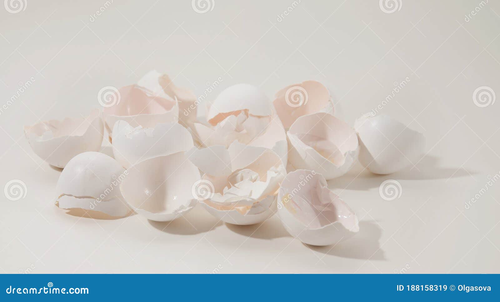 White Eggshell on a Light Background, Side View Stock Image - Image of ...