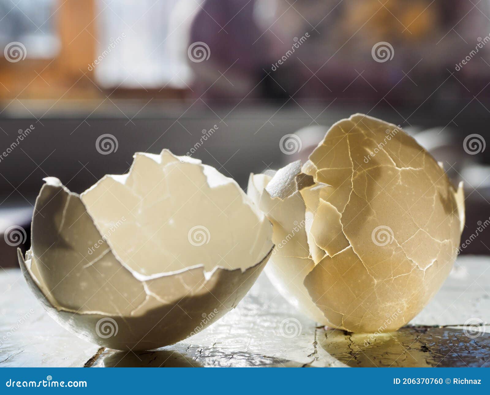 The White Eggshell is Split in Two. the Texture of the Shell in the ...