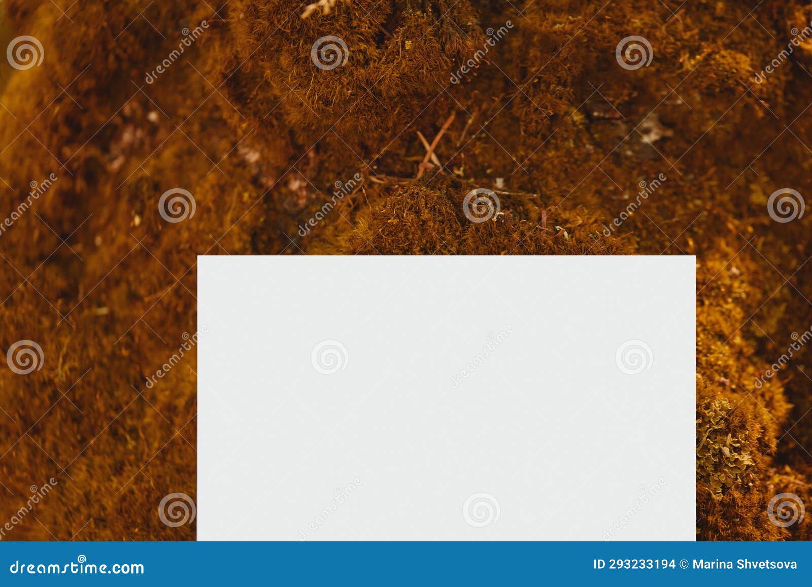 White Empty Leaf on Brown Texture Moss Stock Photo - Image of ...