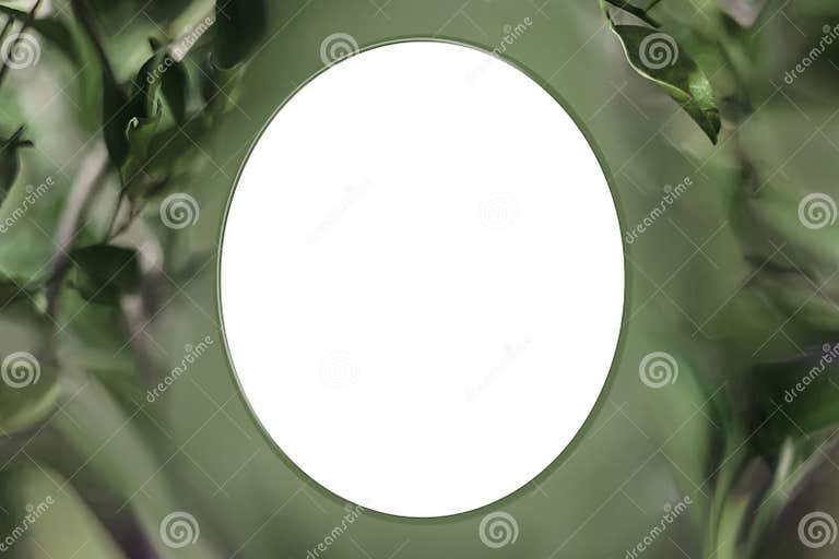 White, Empty Oval on Greenery Background Stock Photo - Image of blank ...