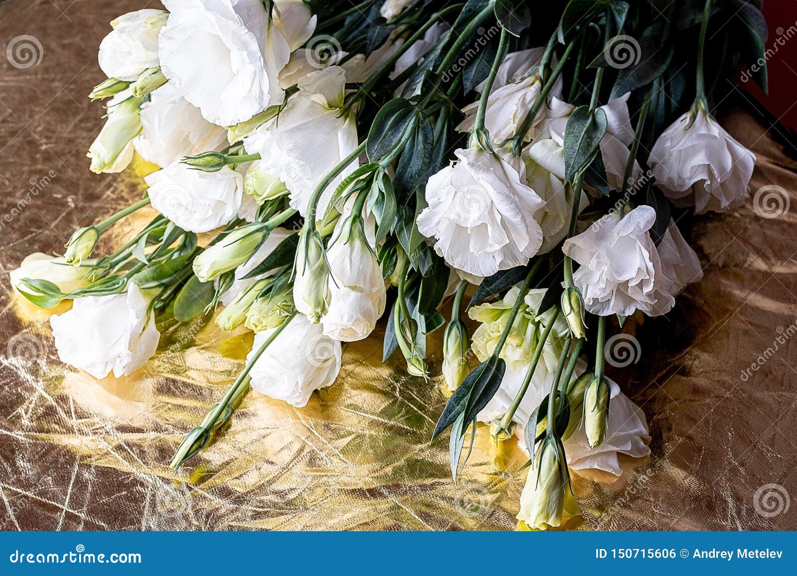 White Eustoma Flower on a Gold Surface Stock Photo - Image of blooms ...