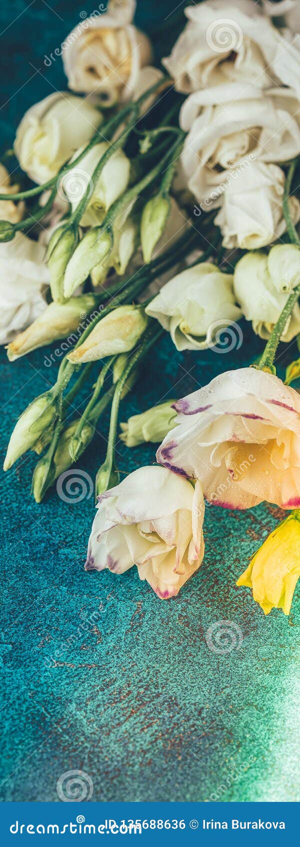 White eustoma flowers stock photo. Image of arrangement - 135688636