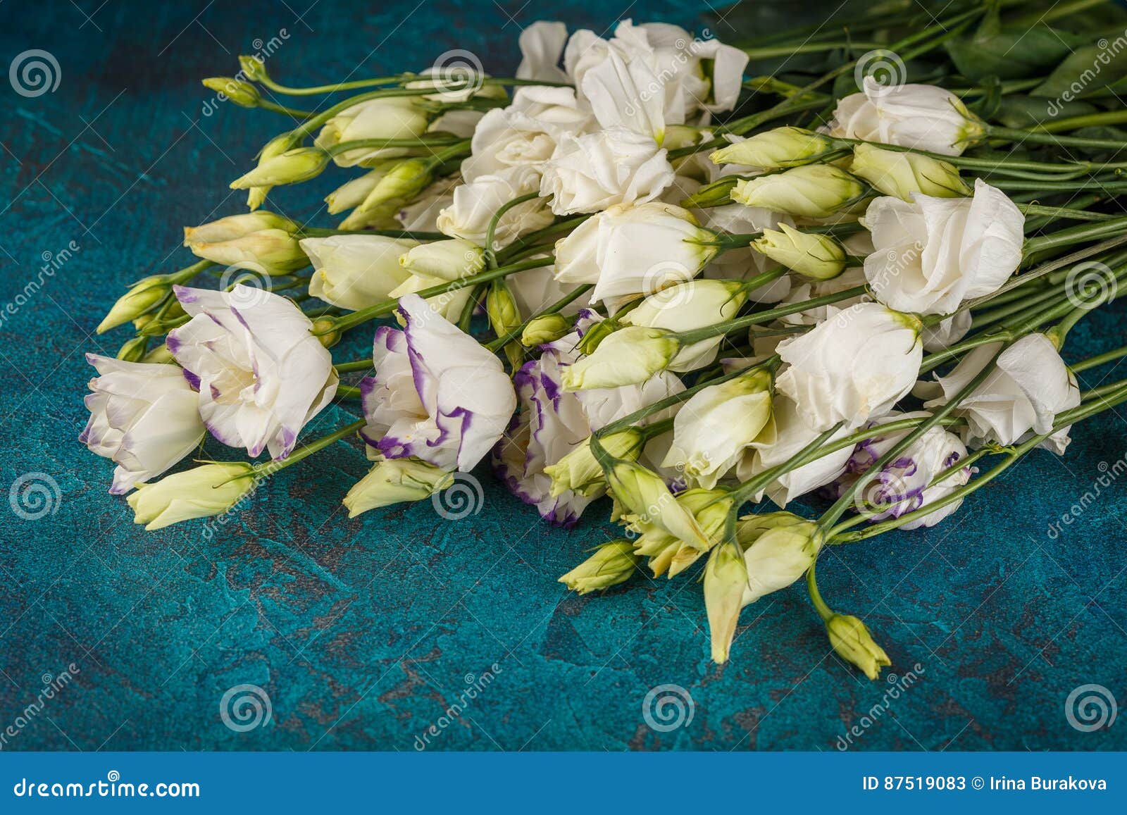 White eustoma flowers stock image. Image of botany, fragility - 87519083
