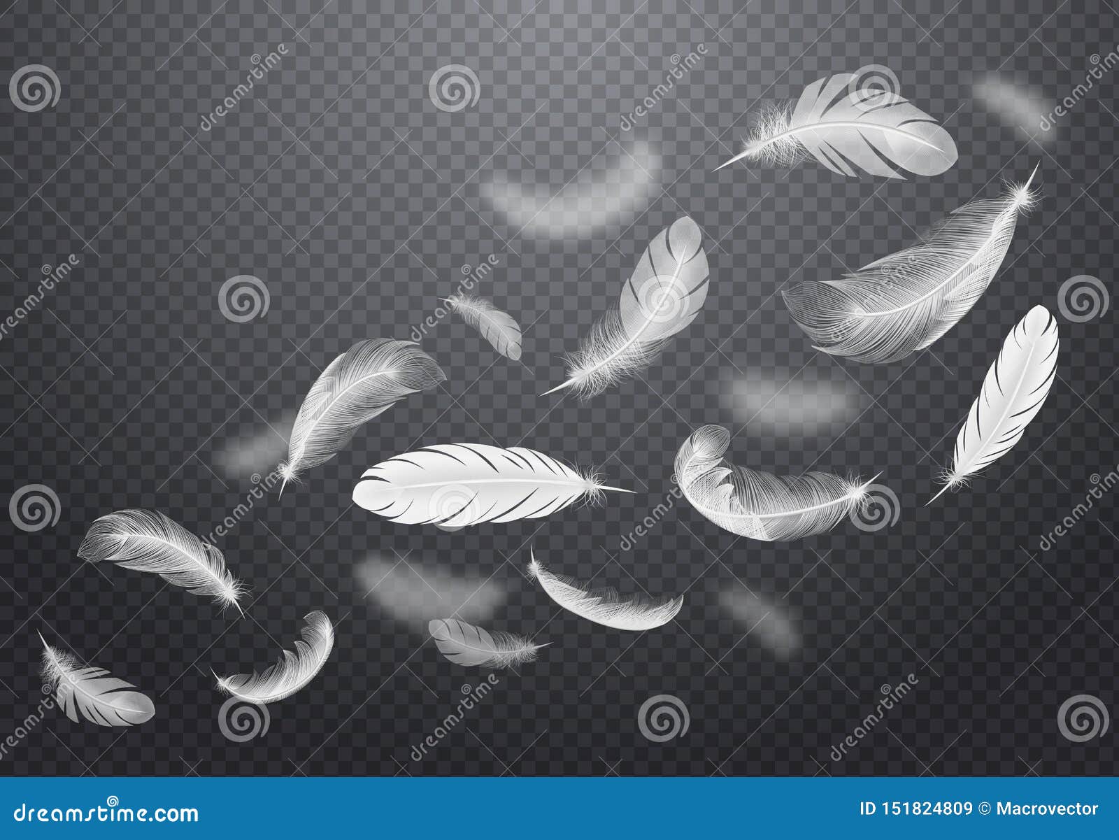 White Falling Feathers Transparent Set Stock Vector - Illustration of ...
