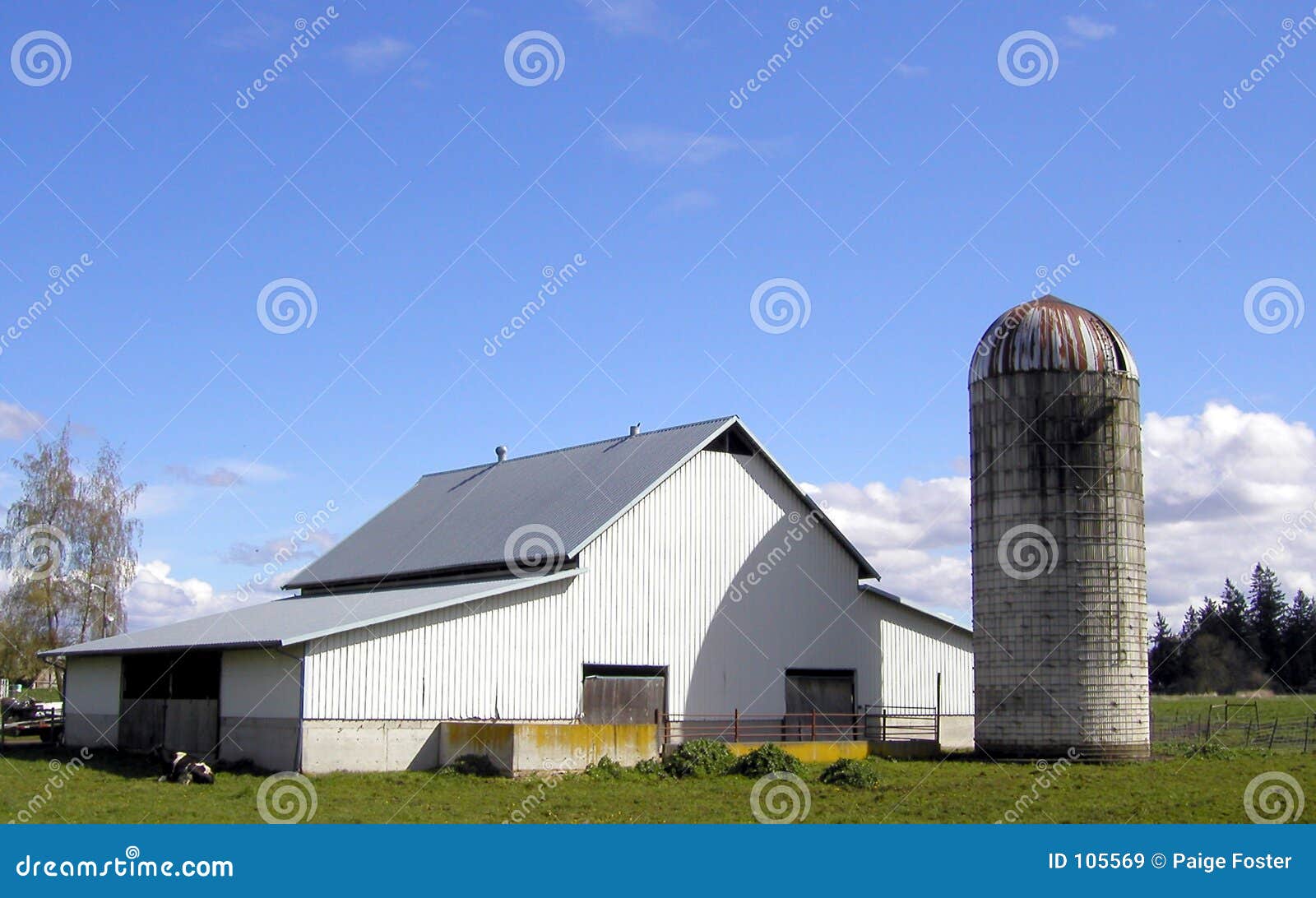 White Farm stock image. Image of bucolic, farm, green, pastoral - 105569