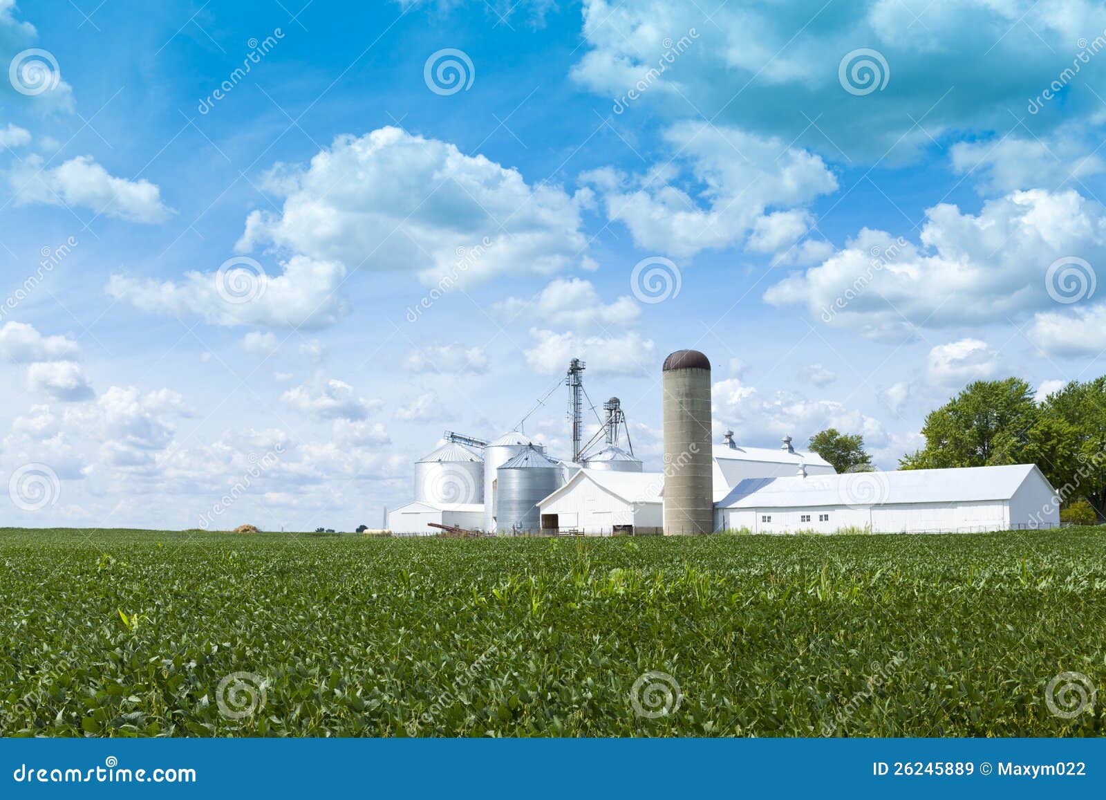 White Farm stock image. Image of barn, building, azure - 26245889