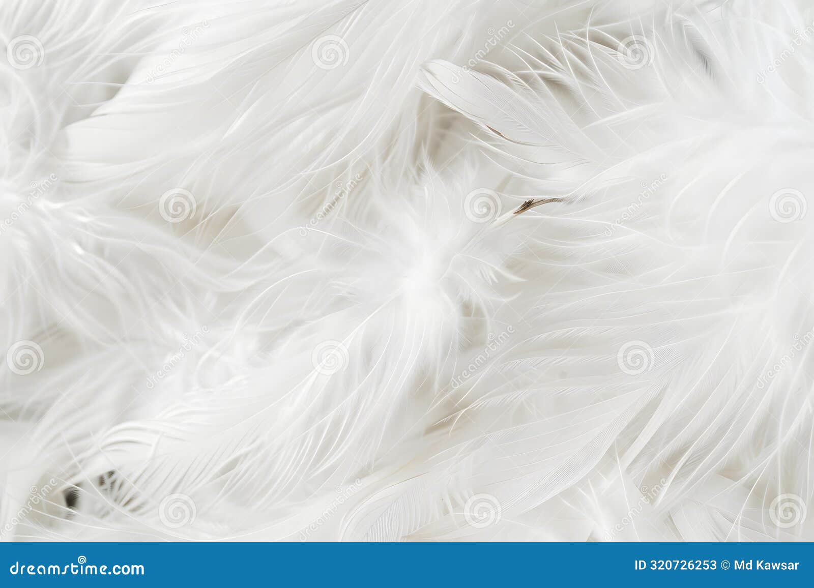 White Feather Texture Background - Close Up Stock Illustration ...