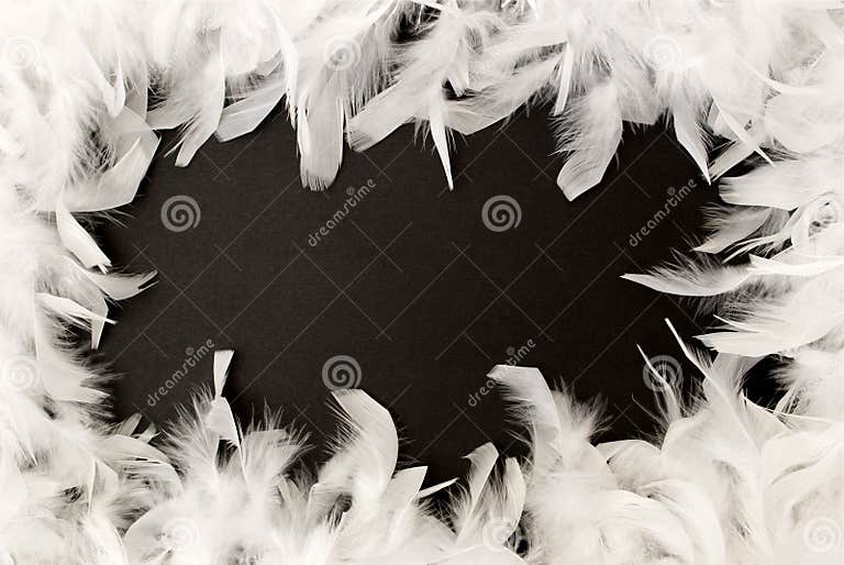 White feather border stock photo. Image of feather, white - 11641584