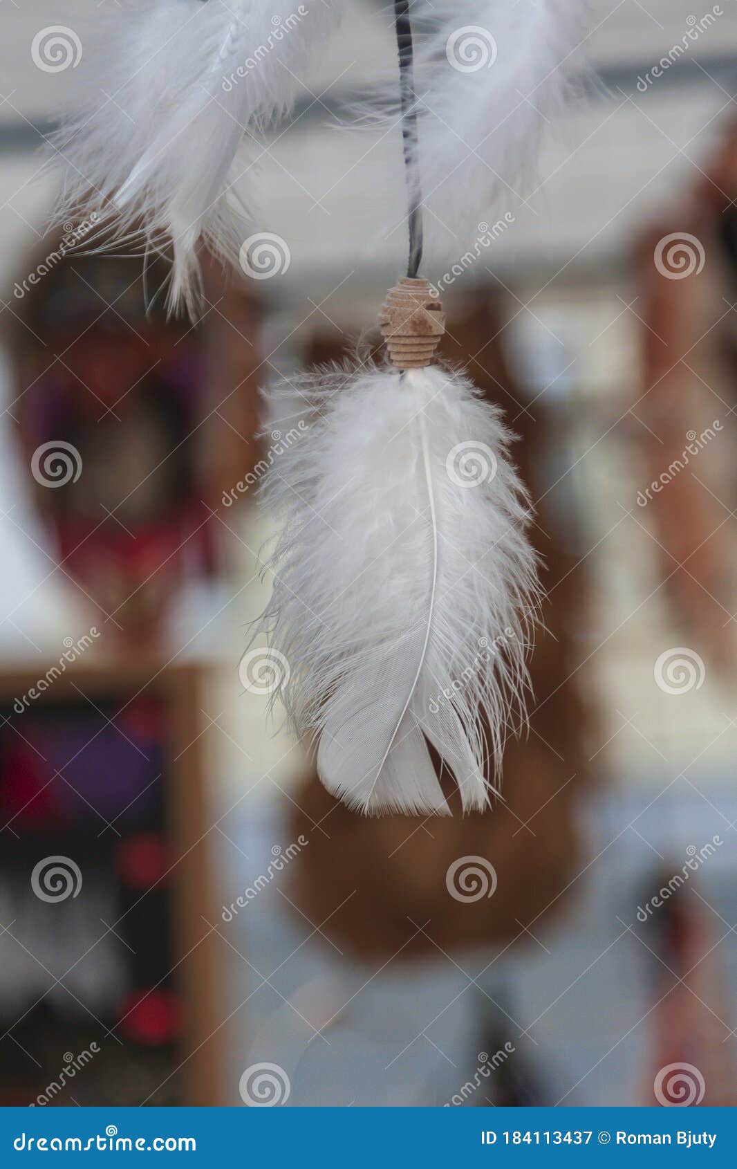 White Feather in a Dream Catcher Hanging from the Ceiling Stock Image ...