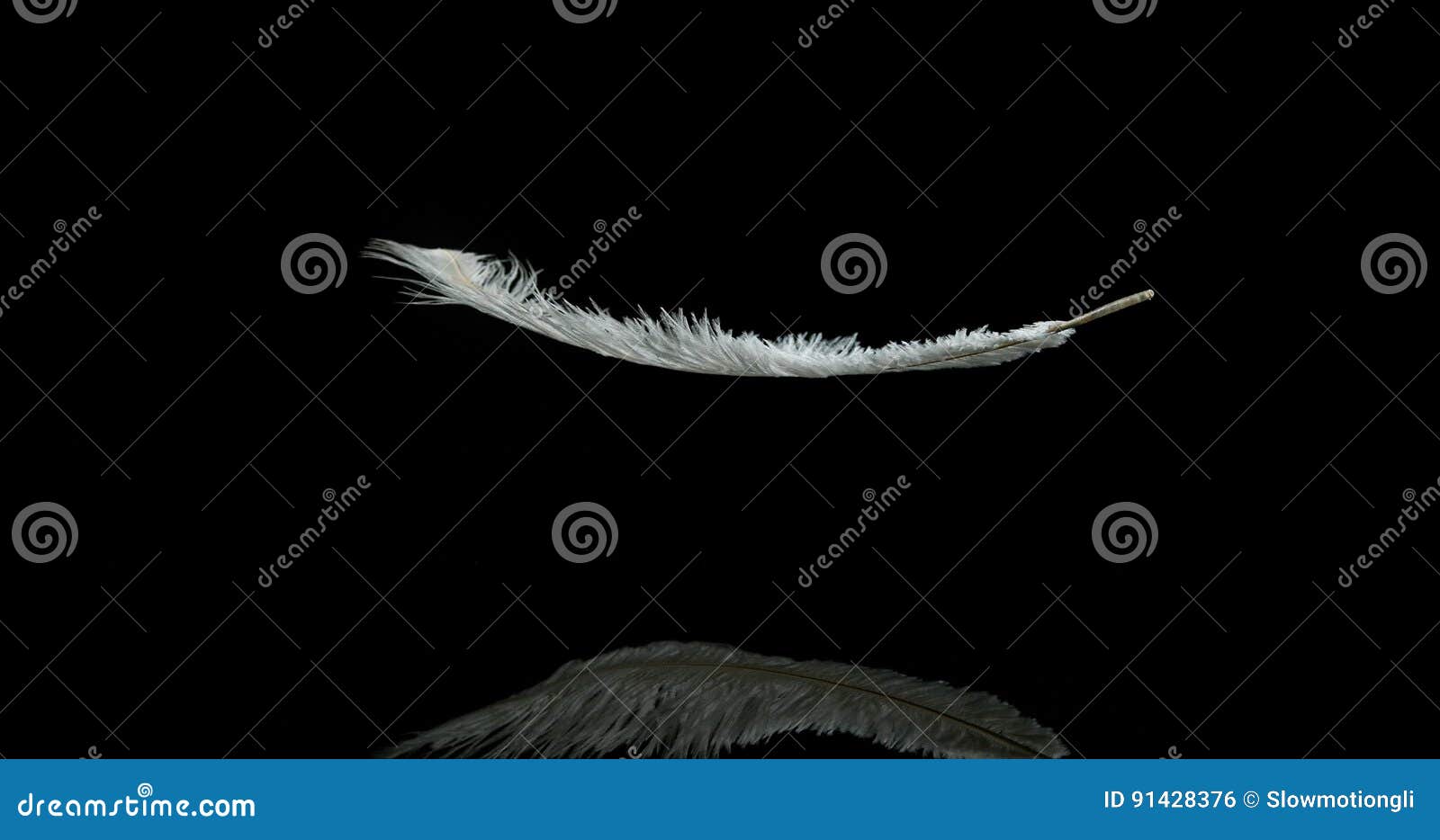 White Feather Falling Against Black Background Stock Footage - Video of ...