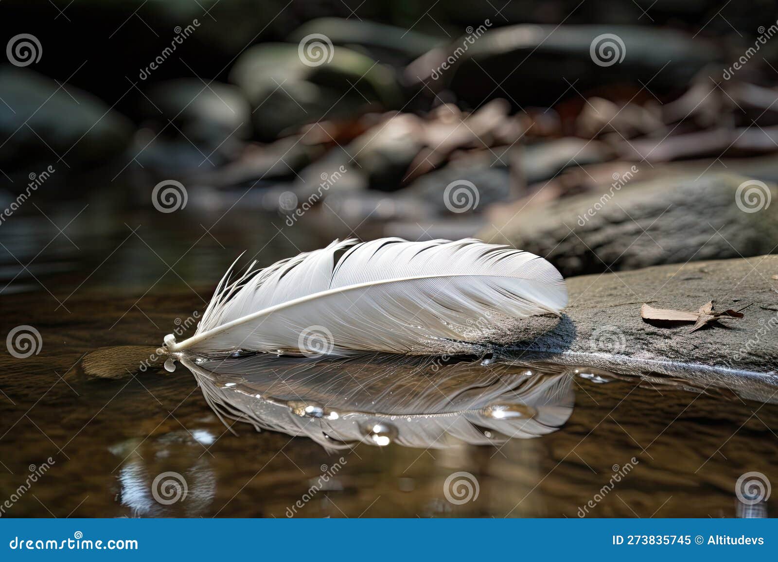 White Feather Floating Down a Stream Stock Illustration - Illustration ...