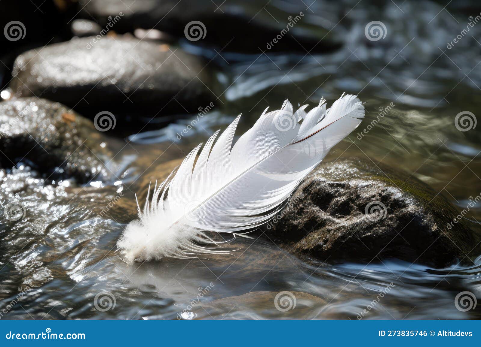 White Feather Floating Down a Stream Stock Illustration - Illustration ...