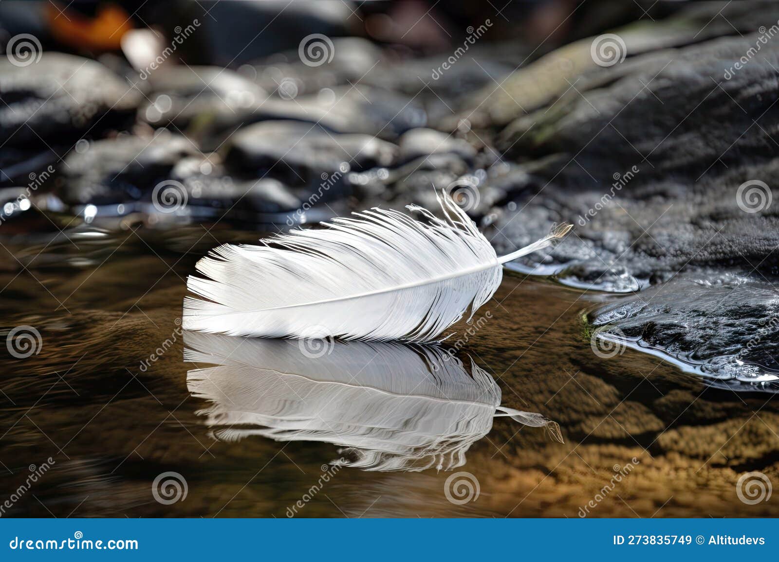 White Feather Floating Down a Stream Stock Illustration - Illustration ...