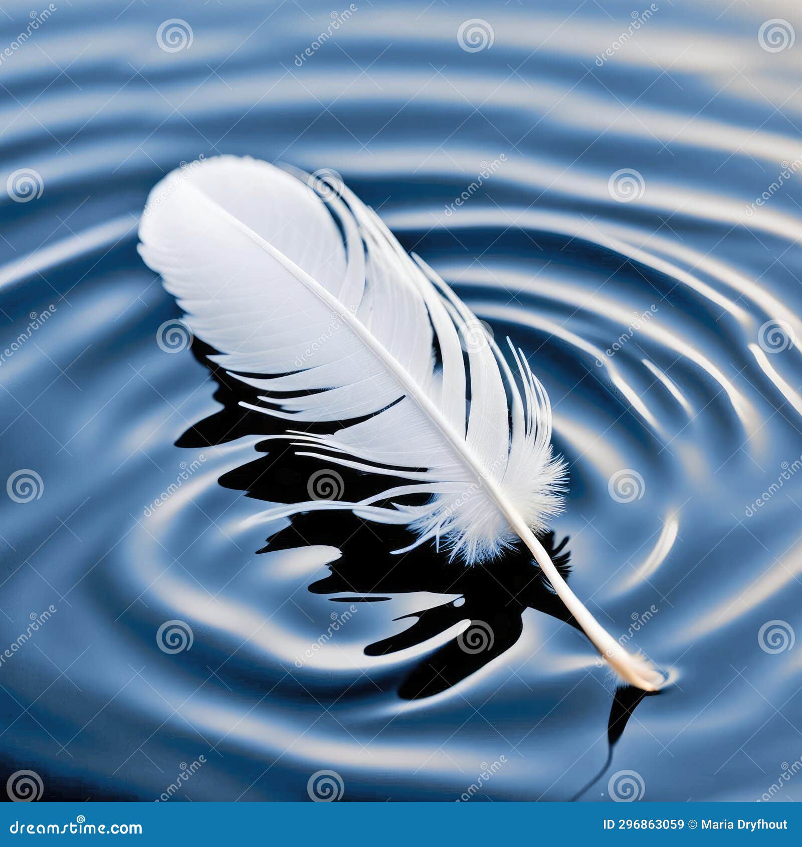 White Feather Floating on Rippled Blue Water Stock Illustration ...