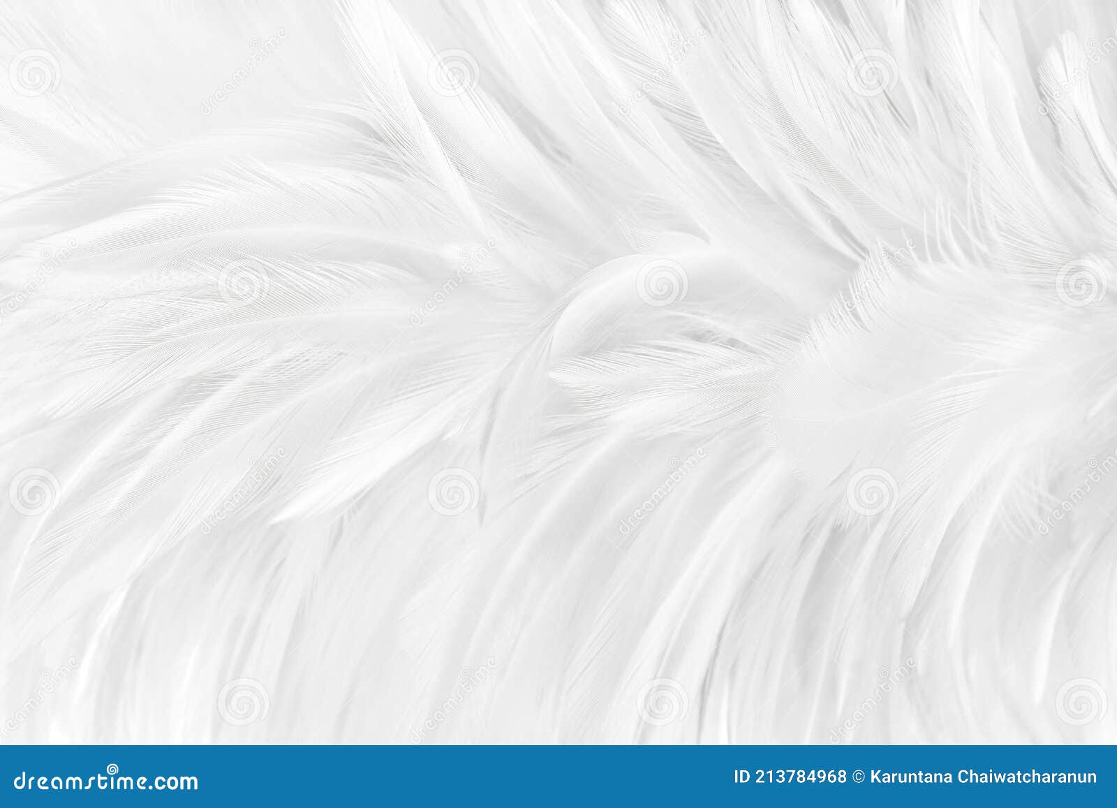 White Feather Pattern Texture for Background and Design Stock Photo ...