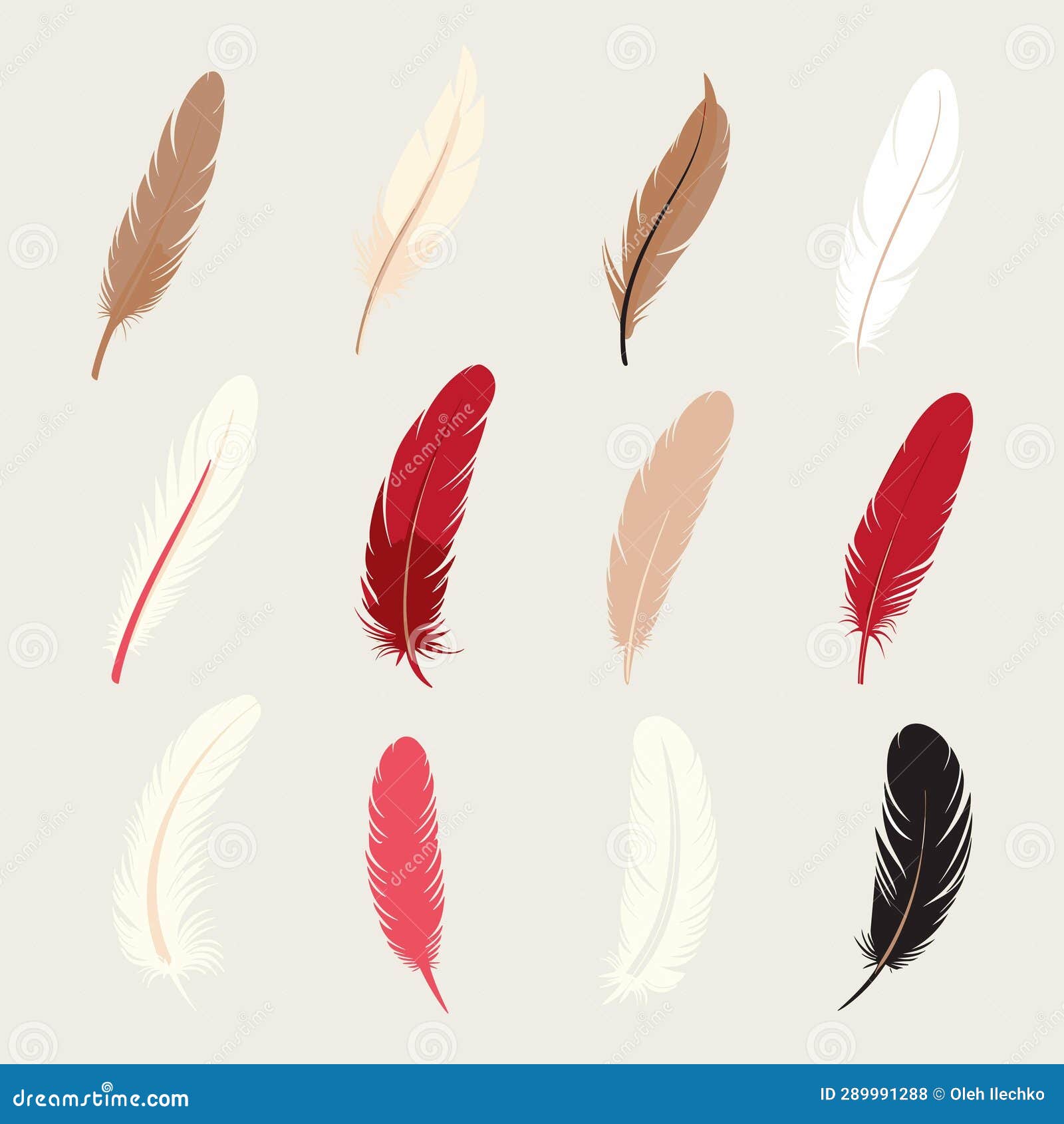 White Feather Set Vector Flat Minimalistic Isolated Illustration Stock ...