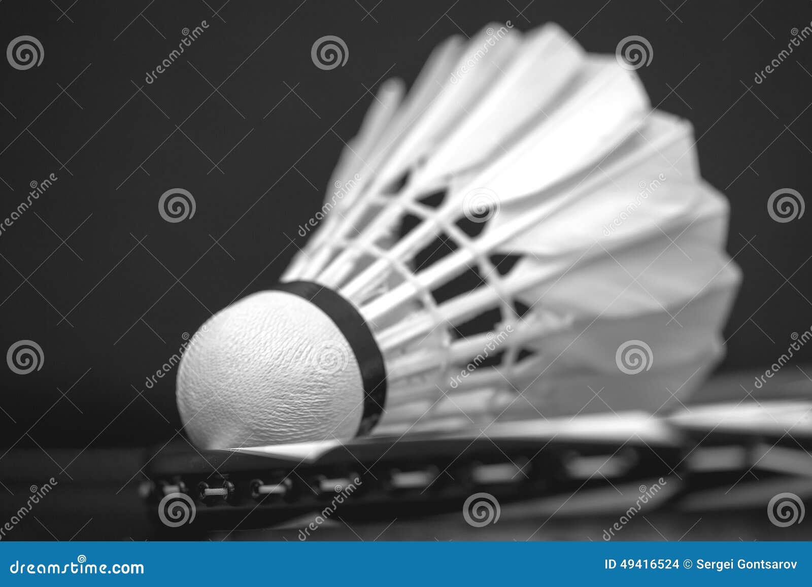 White feather shuttlecock stock photo. Image of equipment - 49416524