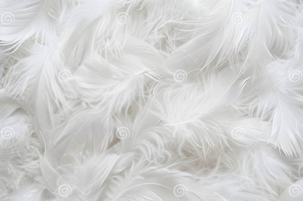 White Feather Texture Background - Soft Fluffy Feathers Stock ...