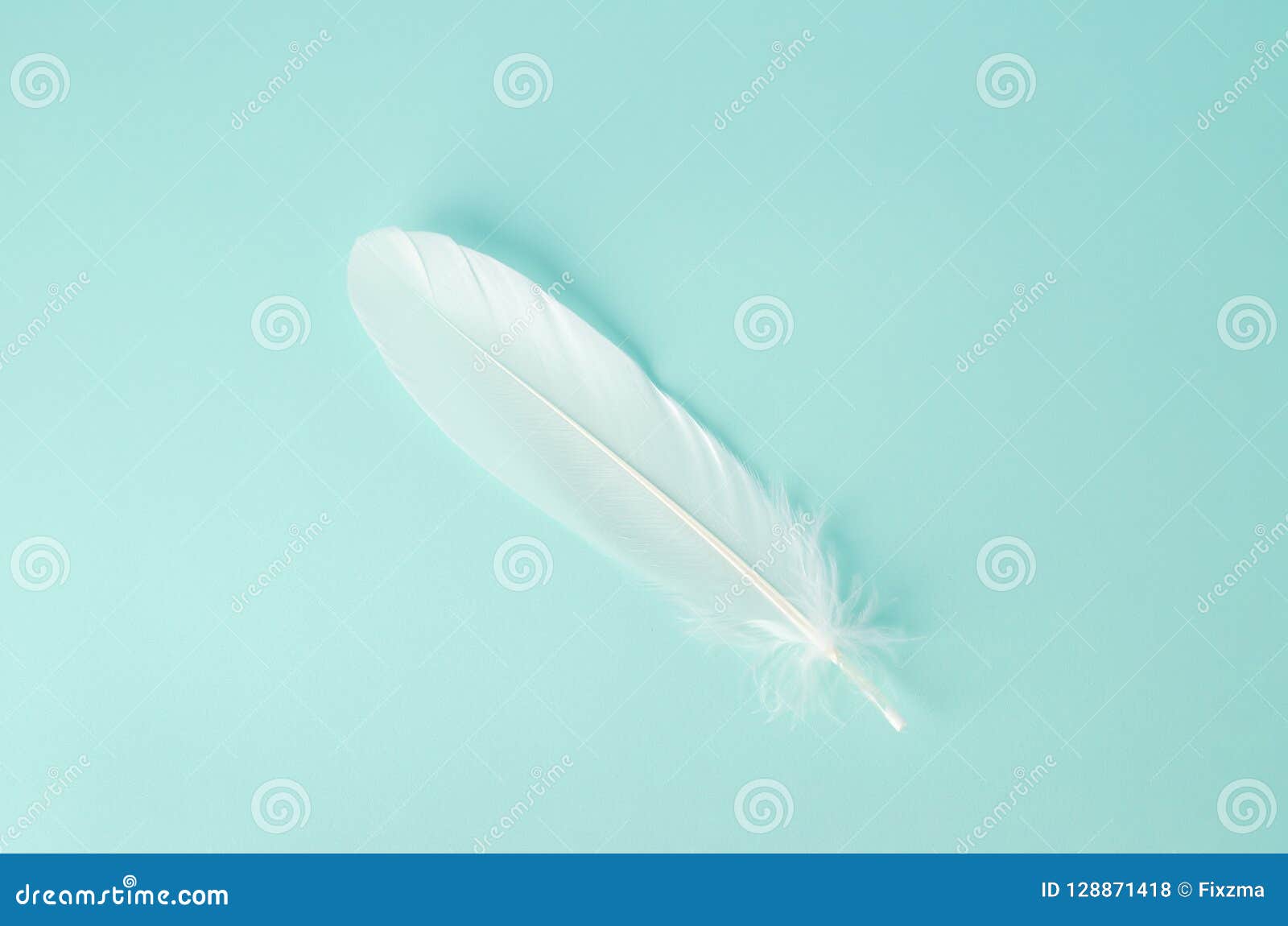 White Feather Border Stock Photo | CartoonDealer.com #11641584