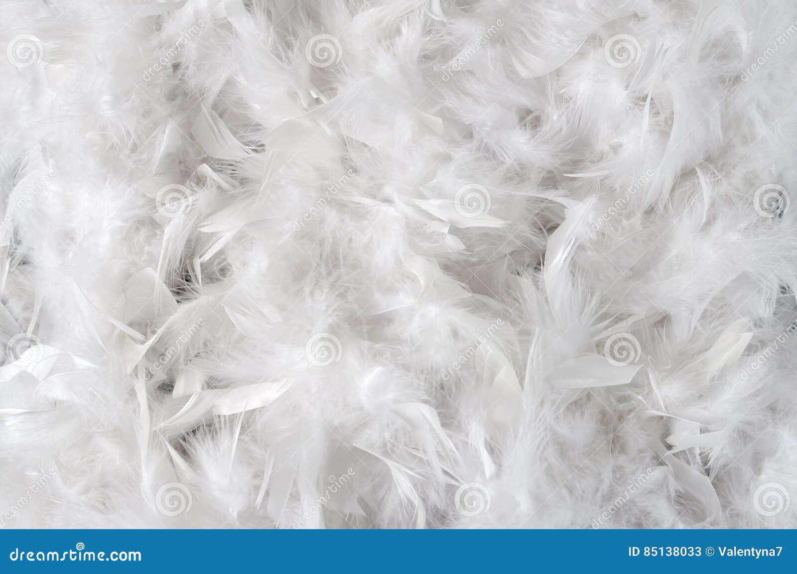 White feathers background stock image. Image of feather - 85138033