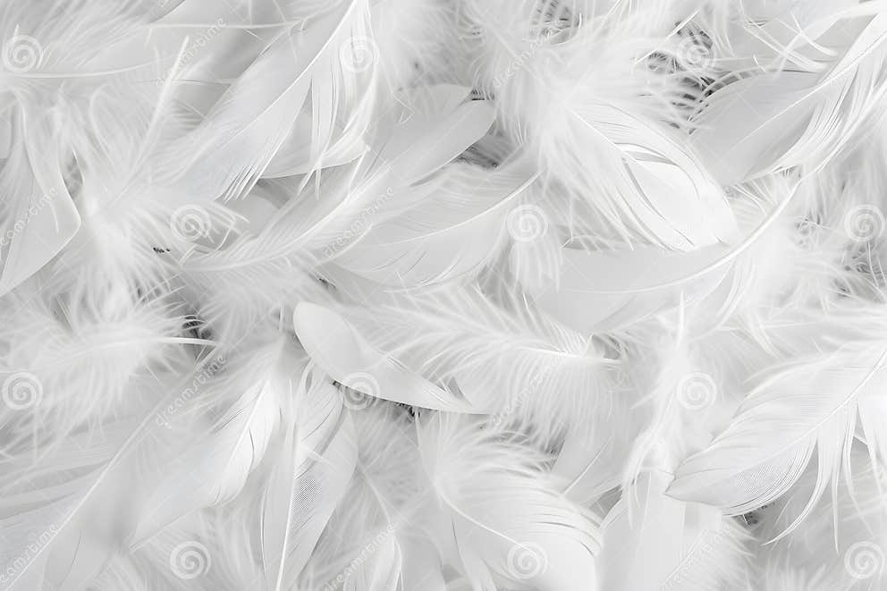 White Feathers Background Texture Pattern Stock Illustration ...