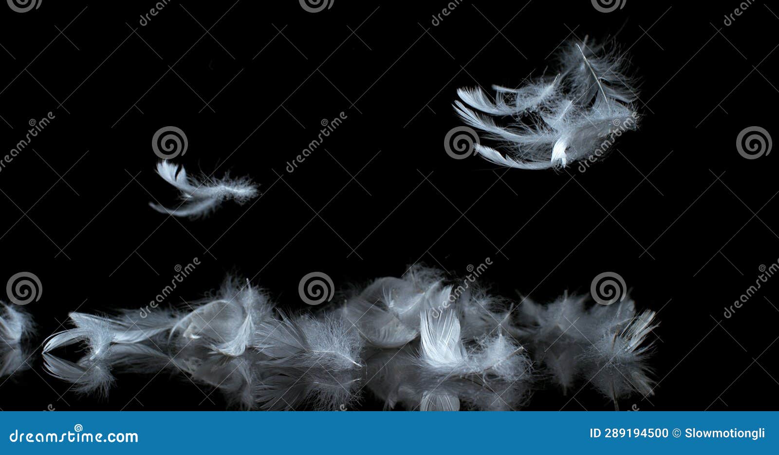White Feathers Falling Against Black Background Stock Photo - Image of ...
