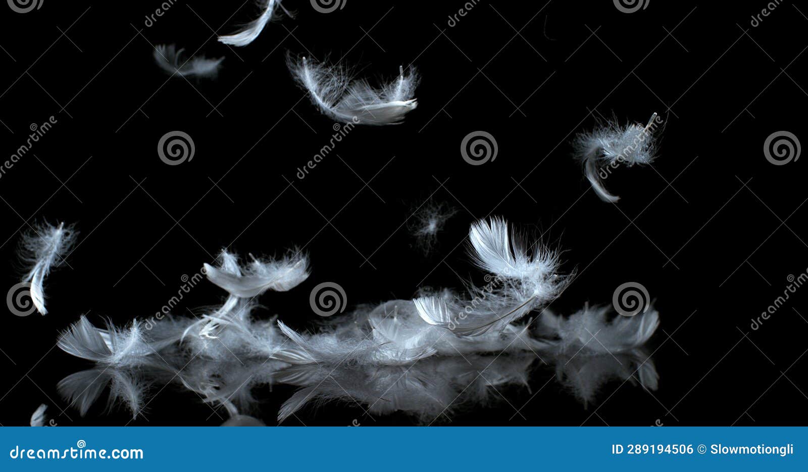 White Feathers Falling Against Black Background Stock Photo - Image of ...