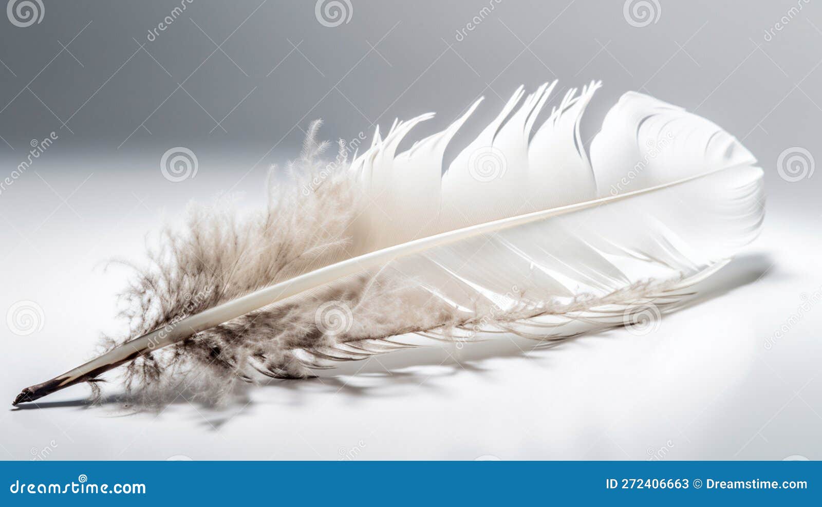 White Feathers - Feather on White Background. Generative AI Stock ...