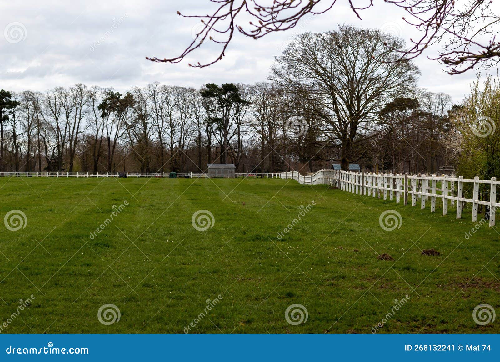 White fence in the field stock image. Image of spring - 268132241