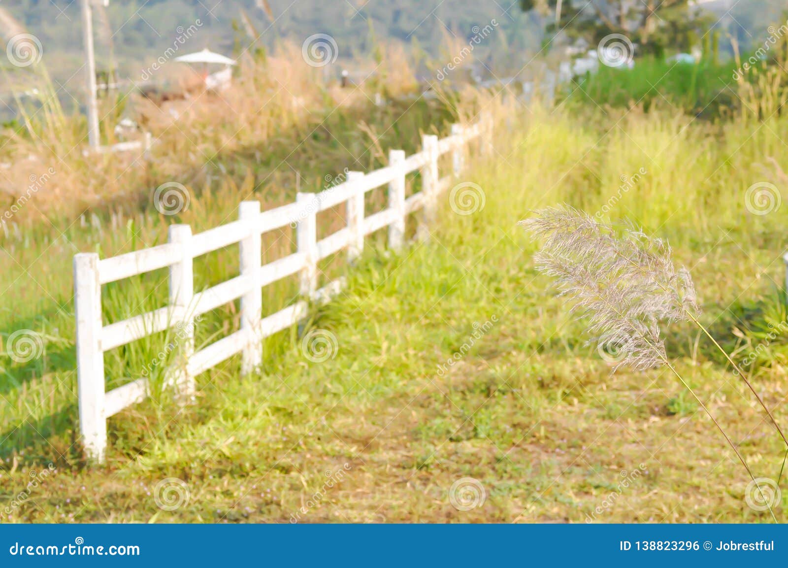 White fence and field stock photo. Image of background - 138823296