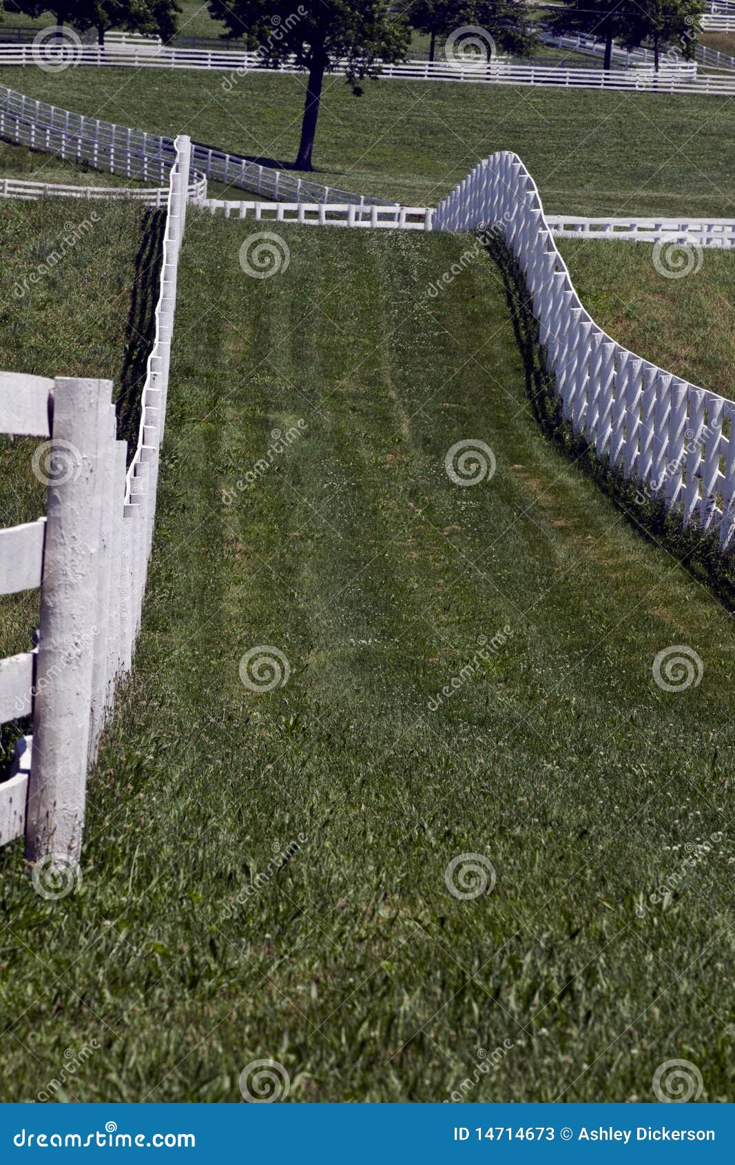Fence Line, Tree And Mountain Background Royalty-Free Stock Photo ...
