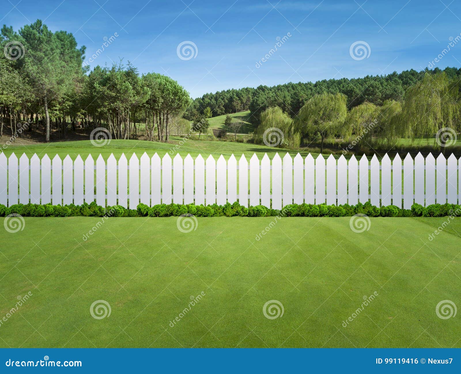 White fences stock photo. Image of yard, grass, clear - 99119416