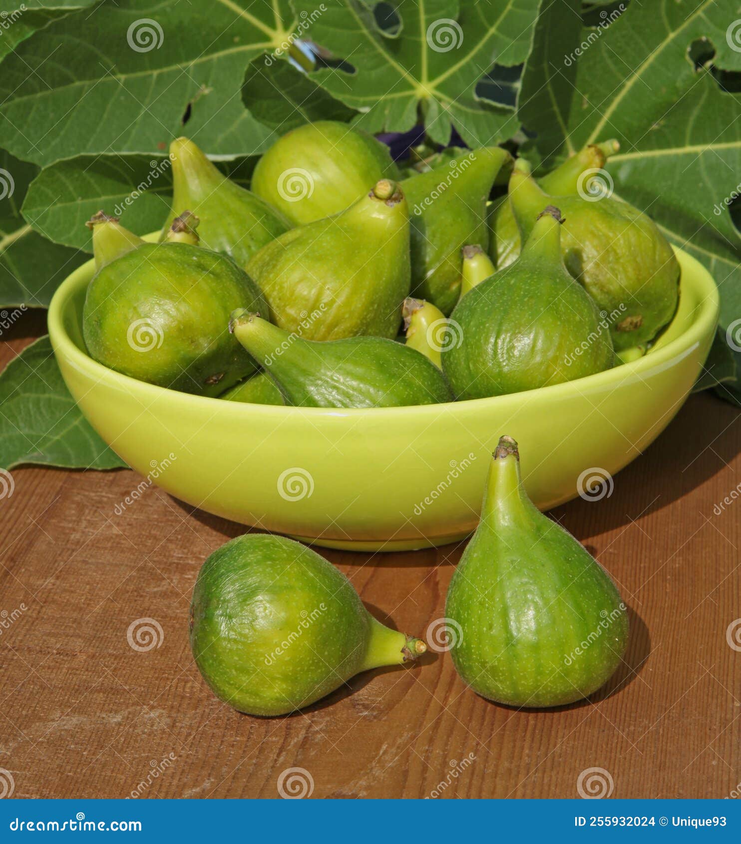 White figs in a bowl stock photo. Image of leaf, fruit - 255932024