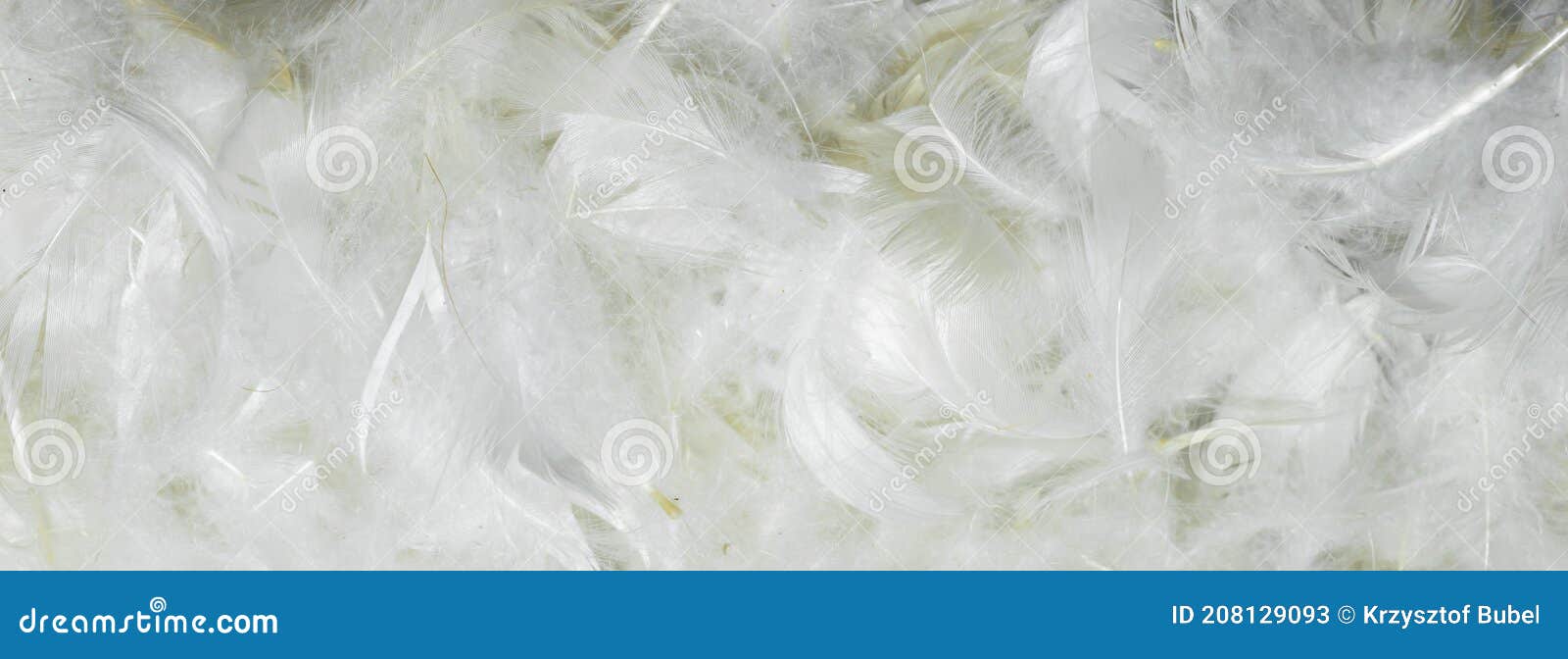 White Fine Duck Feathers. Background or Texture Stock Image - Image of ...