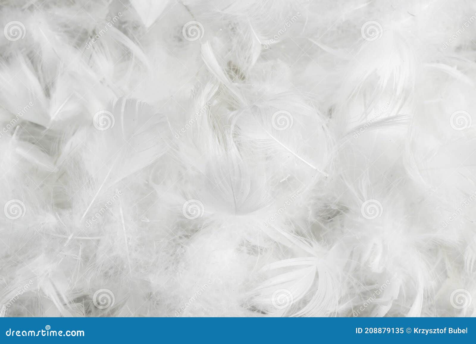 White Fine Duck Feathers. Background or Texture Stock Image - Image of ...