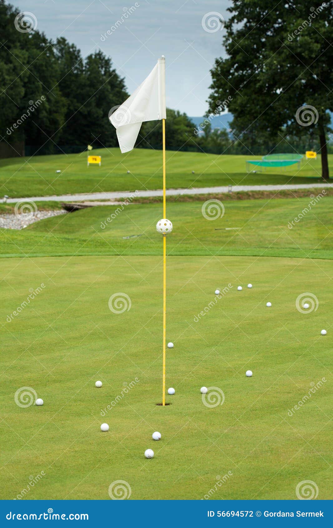 White Flag on a Golf Course Stock Photo - Image of club, leisure: 56694572
