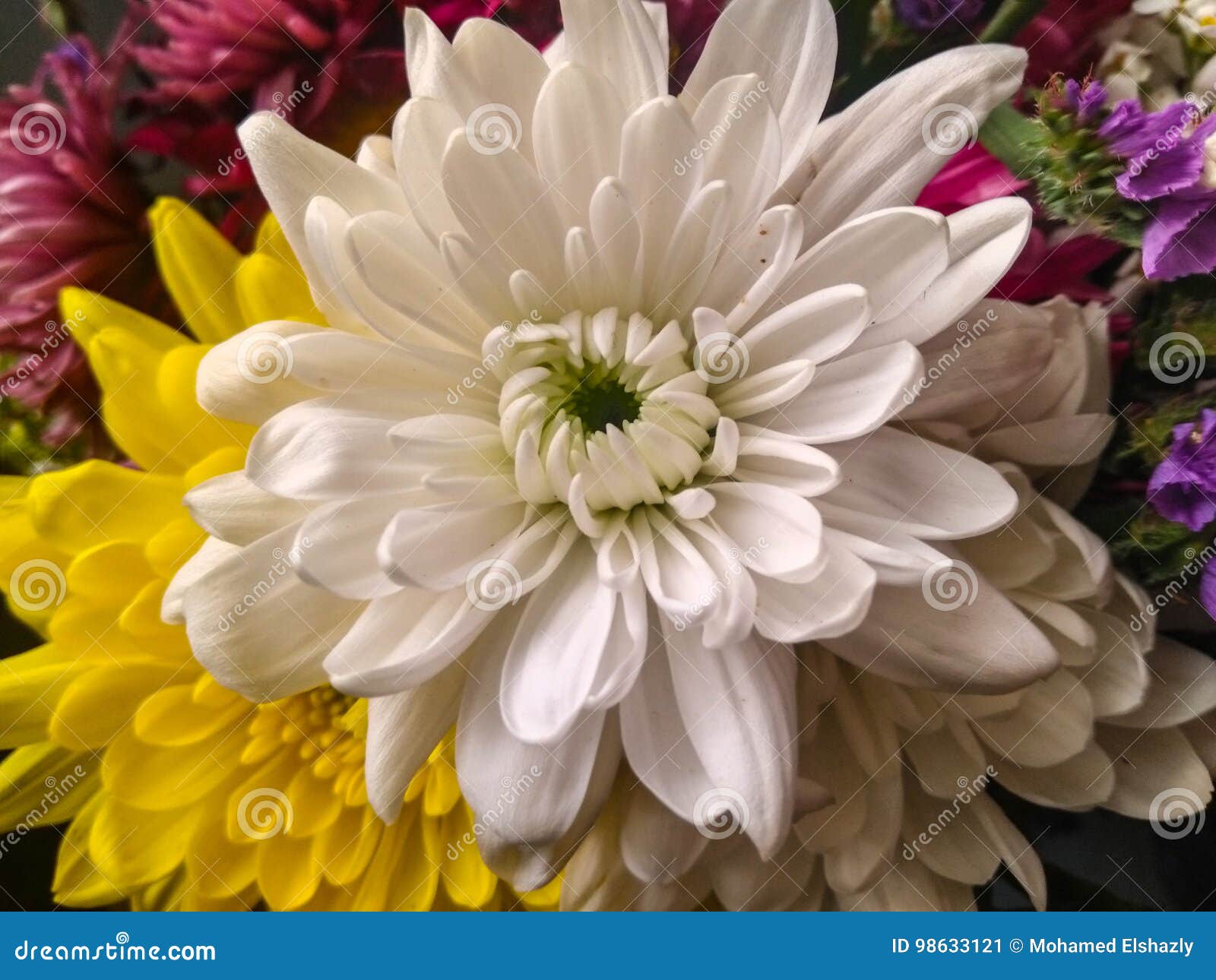 White Fllower stock image. Image of flowers, fllower - 98633121