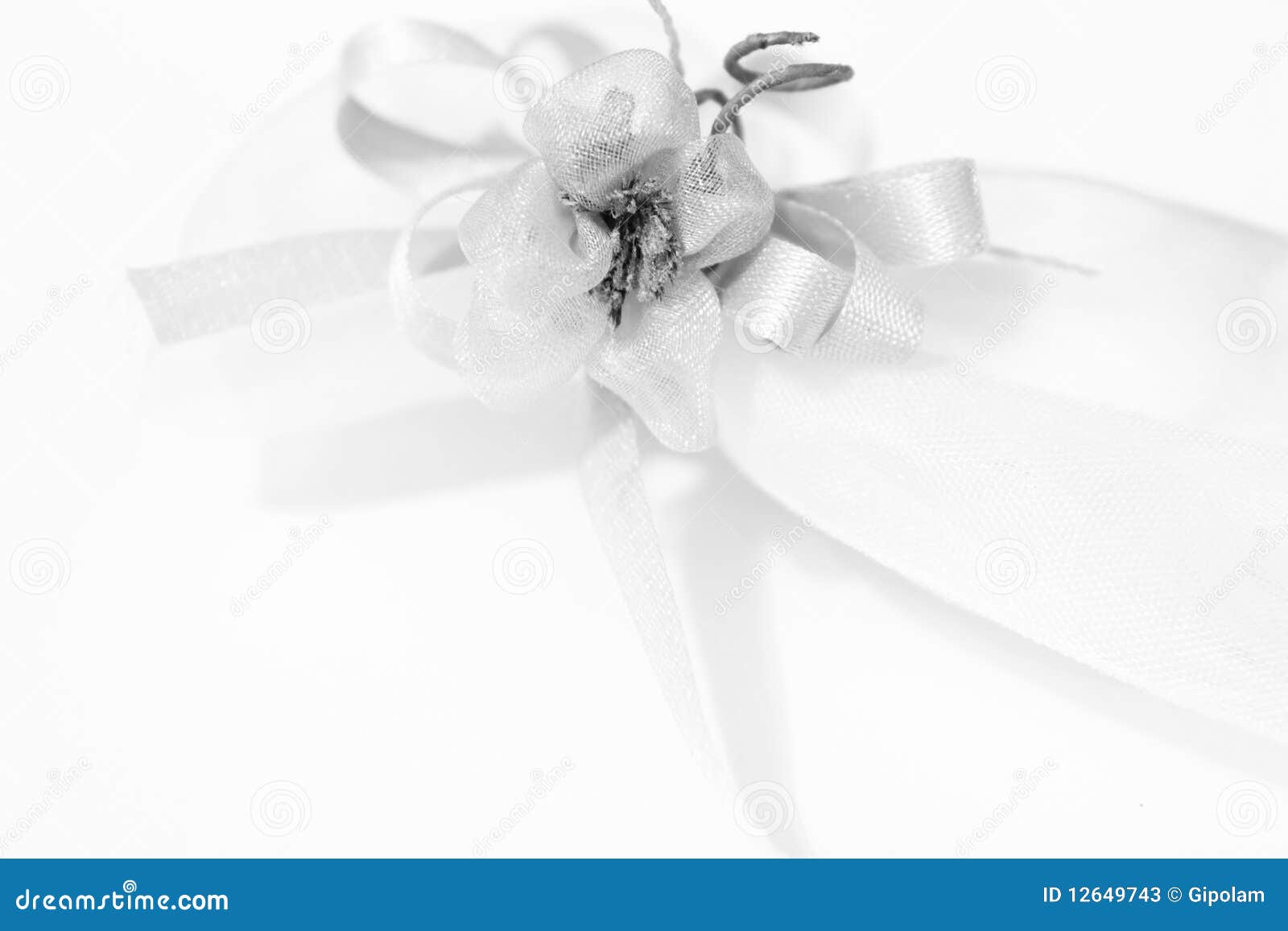 White flower stock image. Image of craft, ribbon, flower - 12649743