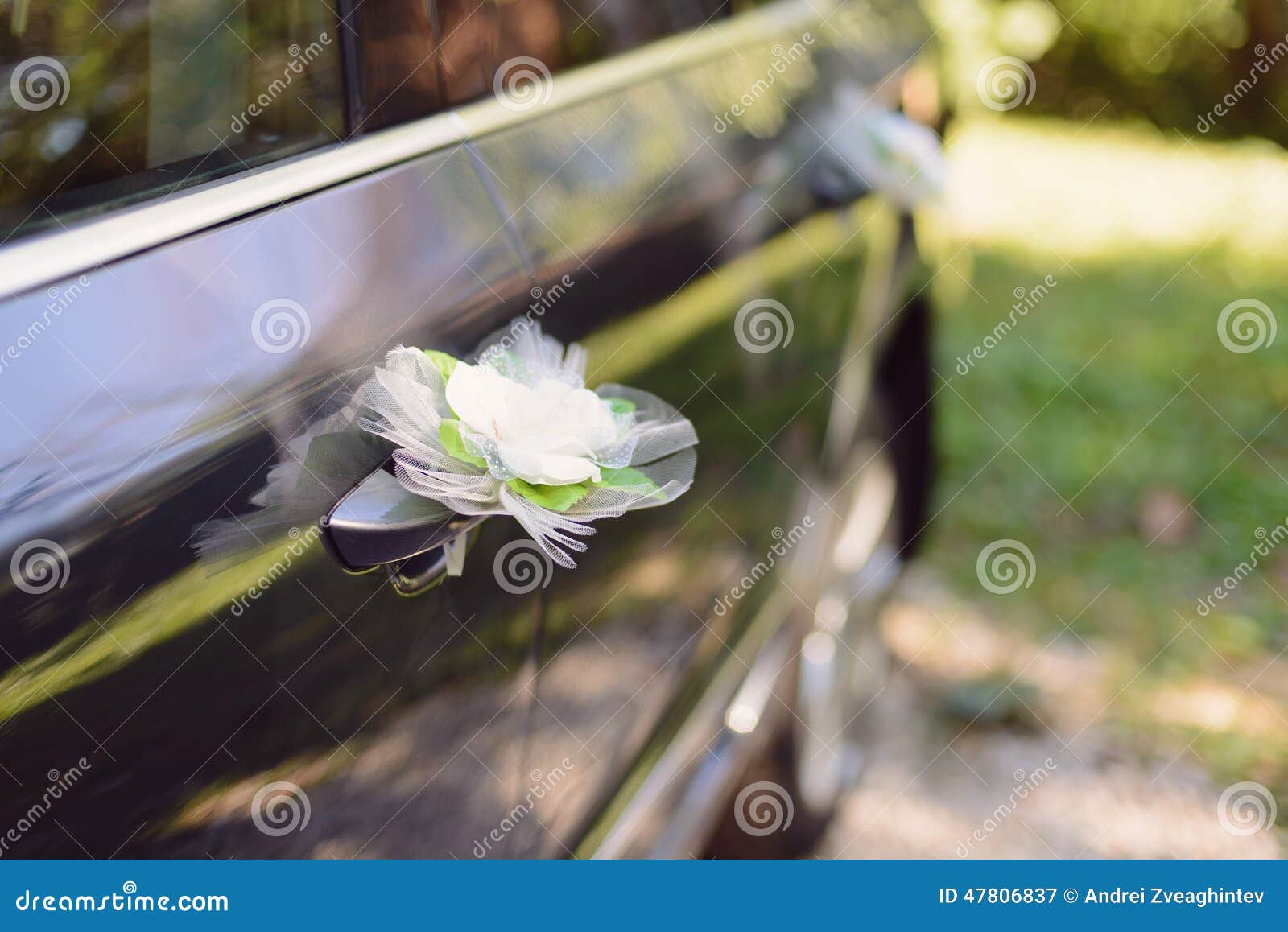 White Flower on Car stock image. Image of color, people - 47806837