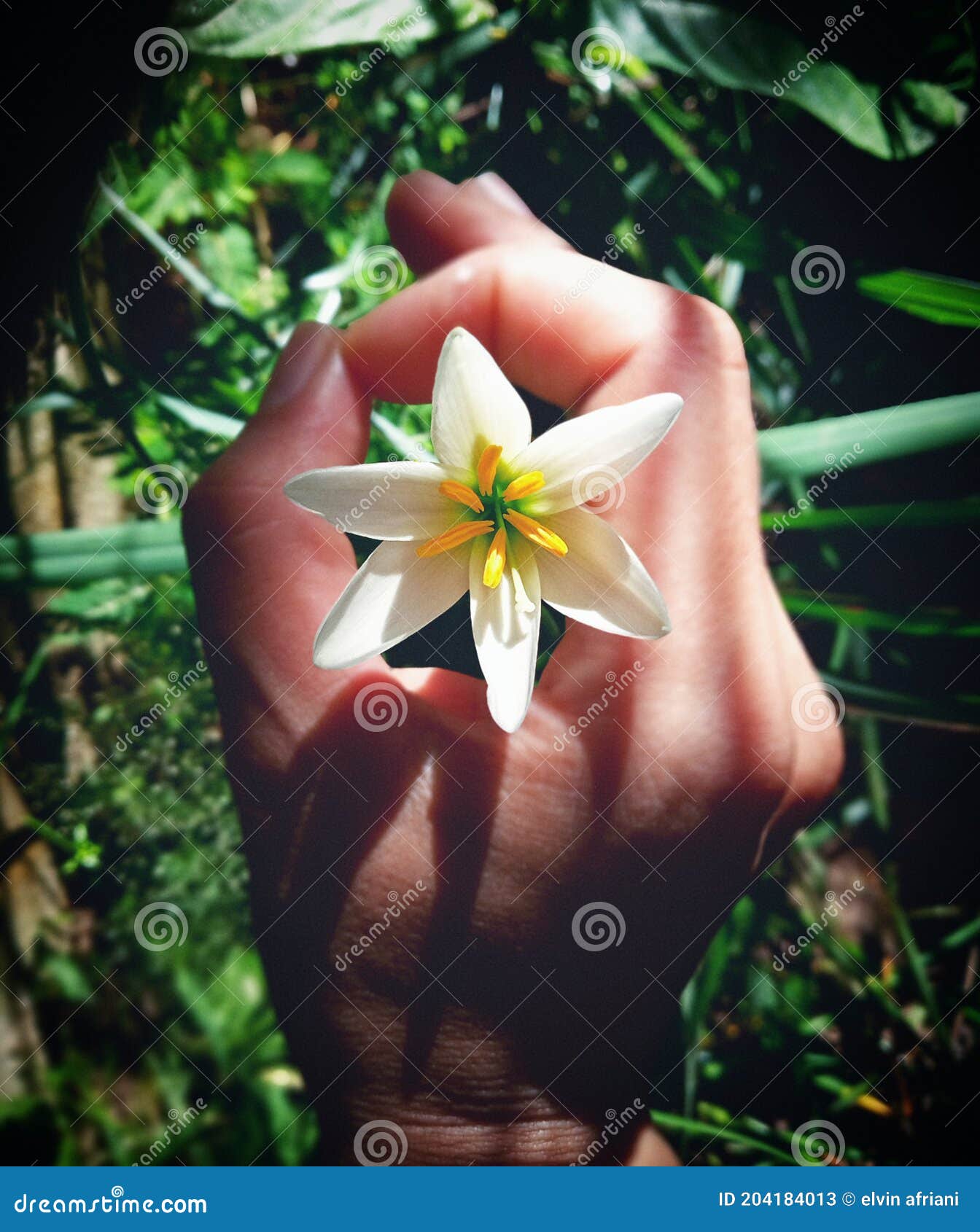 Circle Of Fingers Point To The Center Stock Image | CartoonDealer.com ... Circle Of Fingers Point To The Center Stock Image | CartoonDealer.com ...