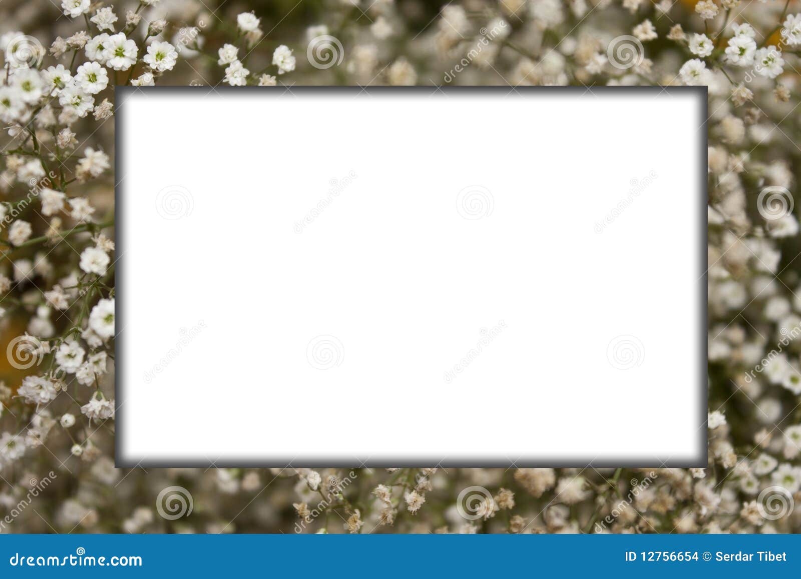White flower frame stock photo. Image of frames, white - 12756654