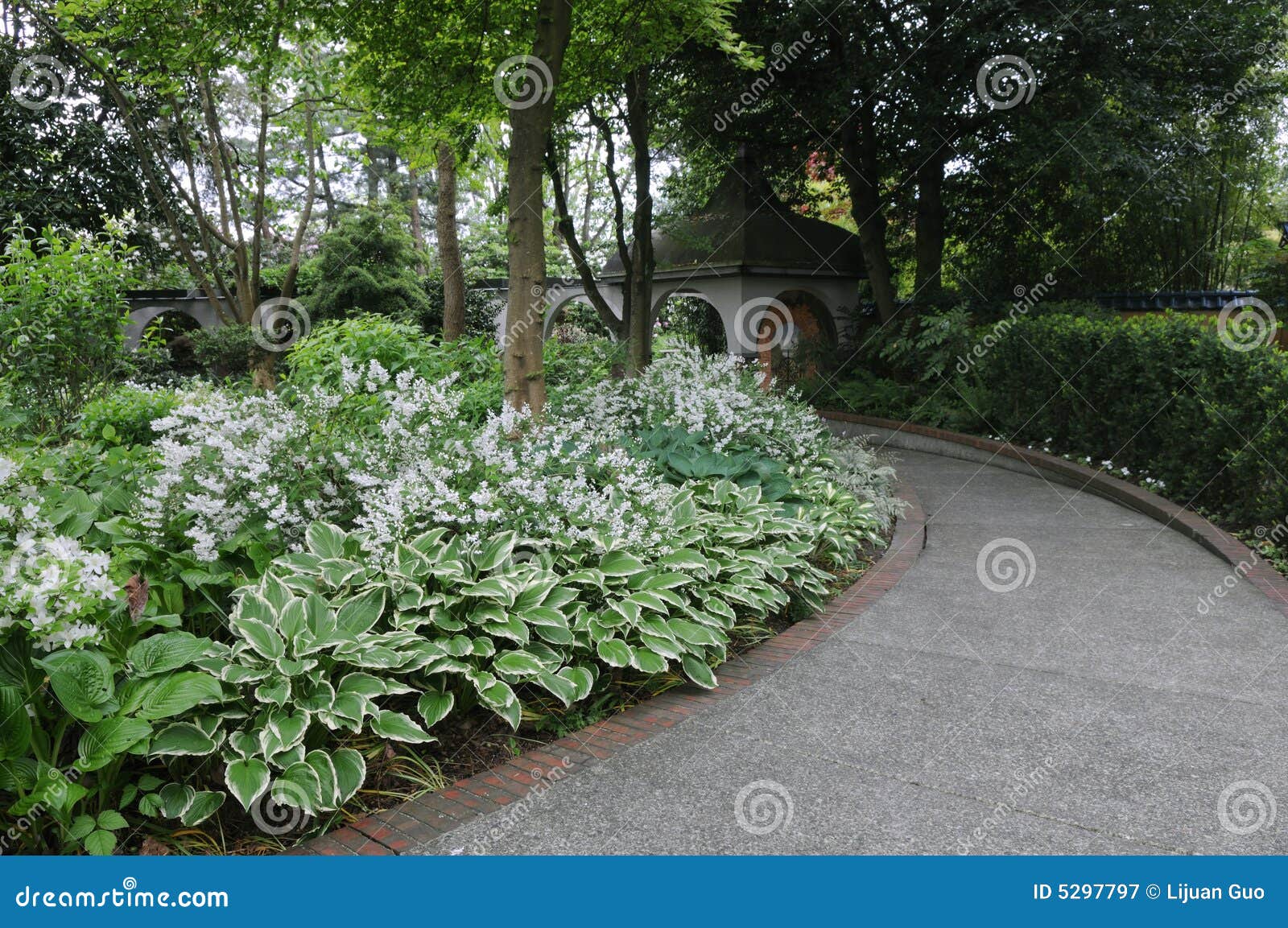 White Flower Gaden with Path Stock Image - Image of private, pavement ...