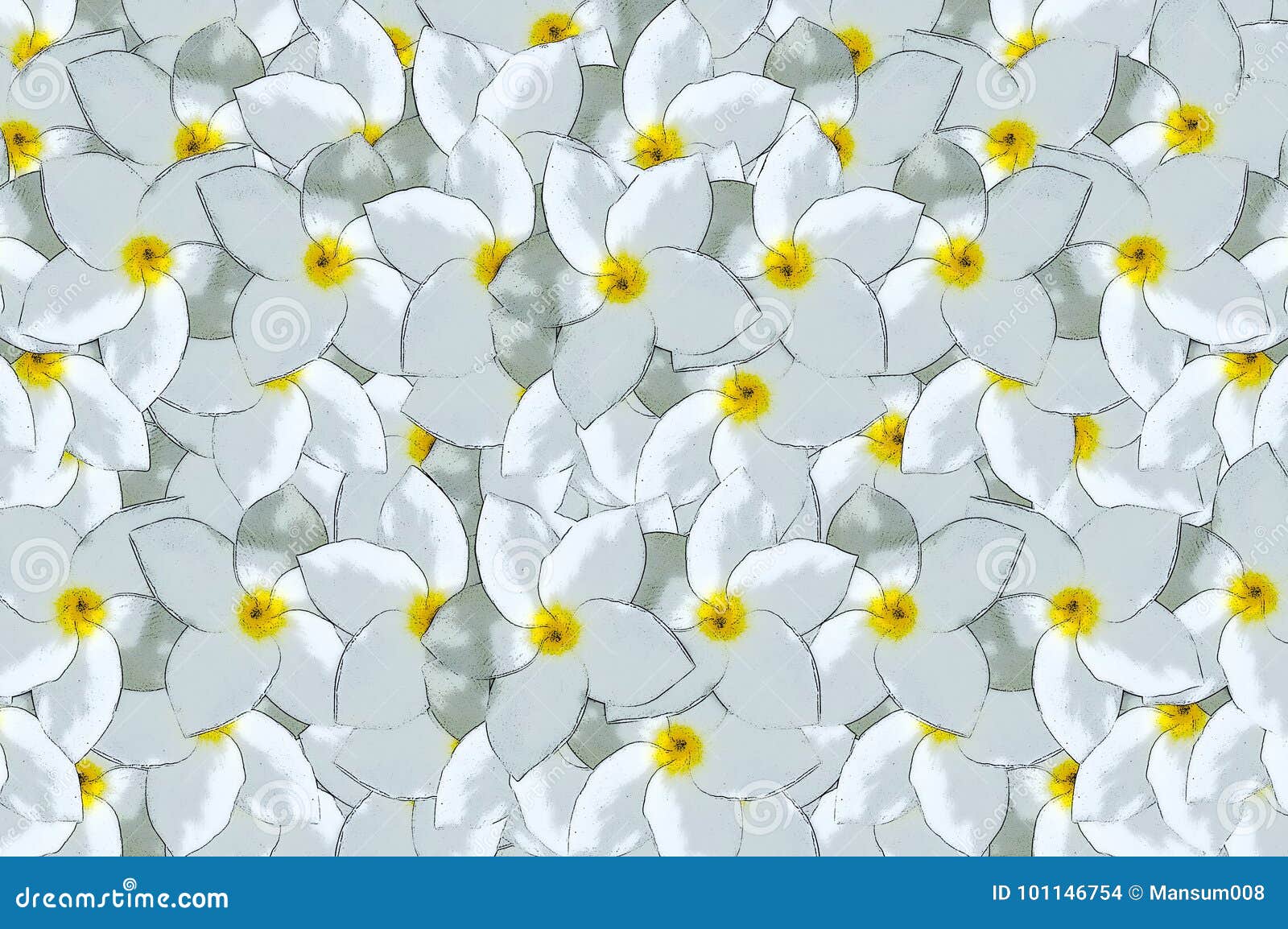 White Flower Pattern Background Stock Illustration - Illustration of ...