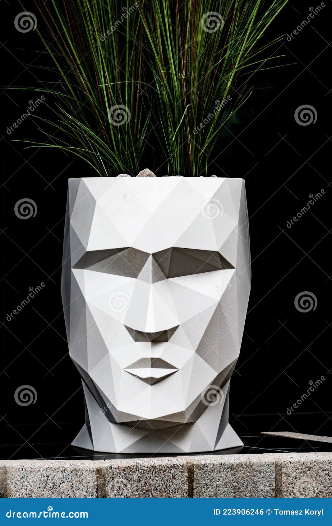 A White Flower Pot in the Shape of a Human Face Was Made of Triangular ...
